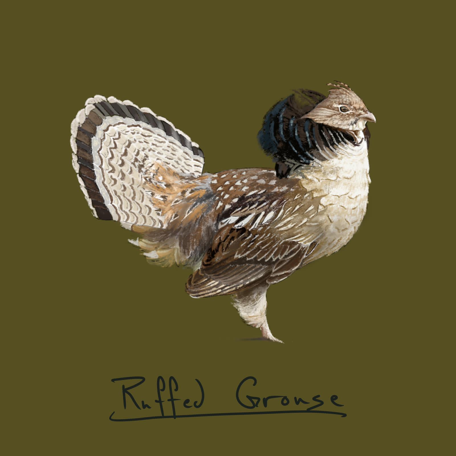 Design Work - Prints – Cory James Fine Art