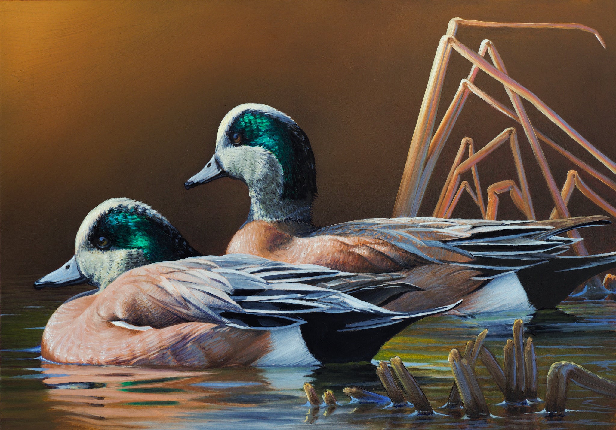 Duck Art Originals & Prints | Waterfowl & Wildlife Art – Cory James ...