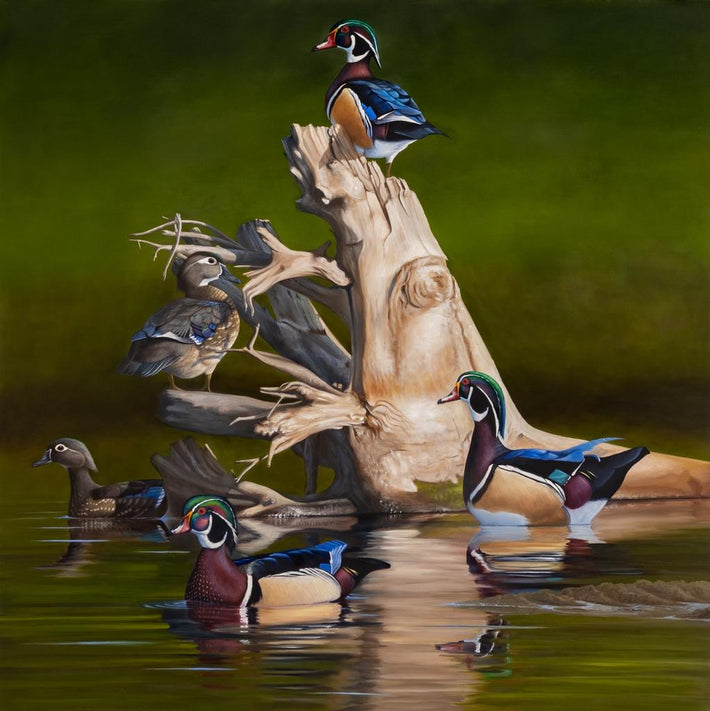 Duck Art Originals & Prints | Waterfowl & Wildlife Art – Cory James ...